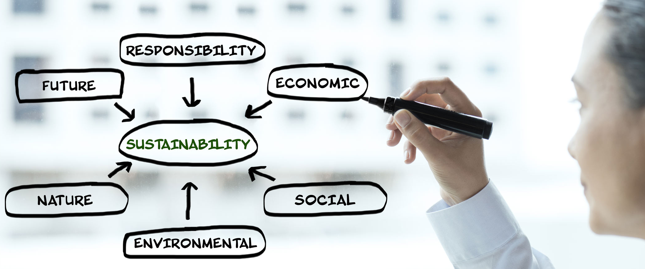 Voor wie geldt CSRD? | evofenedex