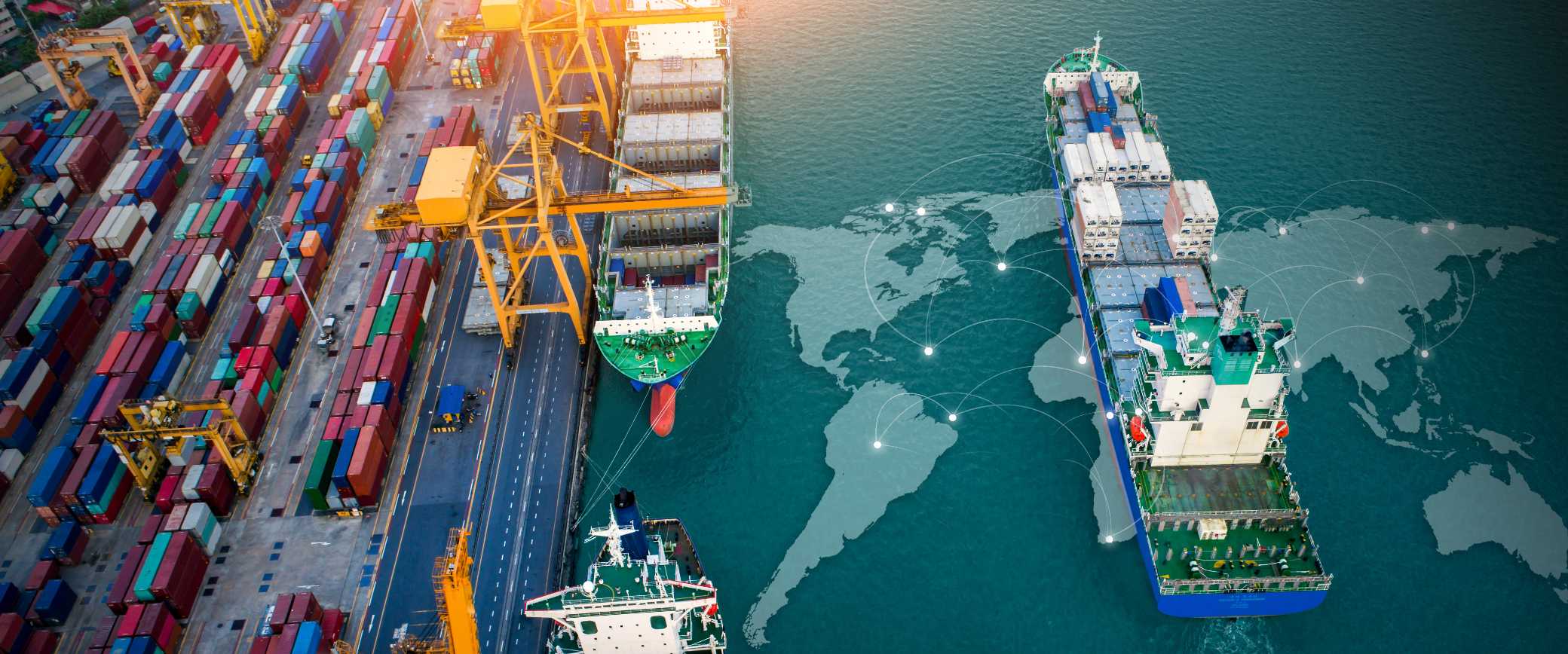 Handels- en productiebedrijven verwachten in 2025 meer vraag | evofenedex